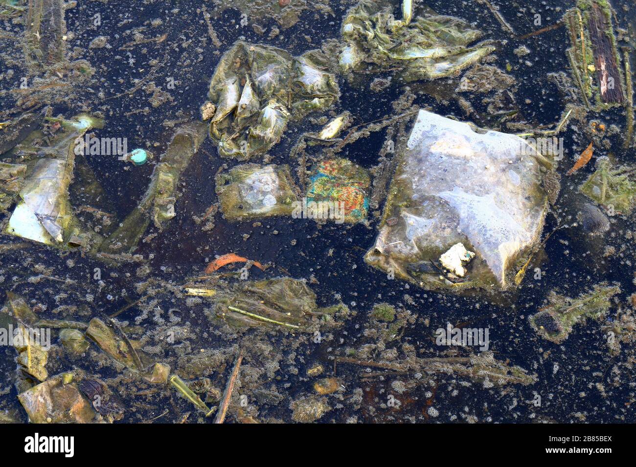 Dirty water, Garbage moss in the sewage, Rotten waste water, Industrial ...