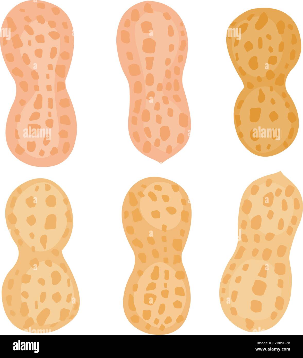Vector illustration set of peanuts on white background Stock Vector ...