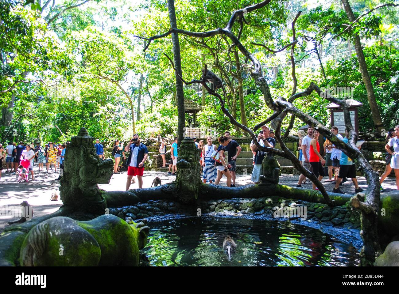 Monkey and water fountain hi-res stock photography and images - Alamy