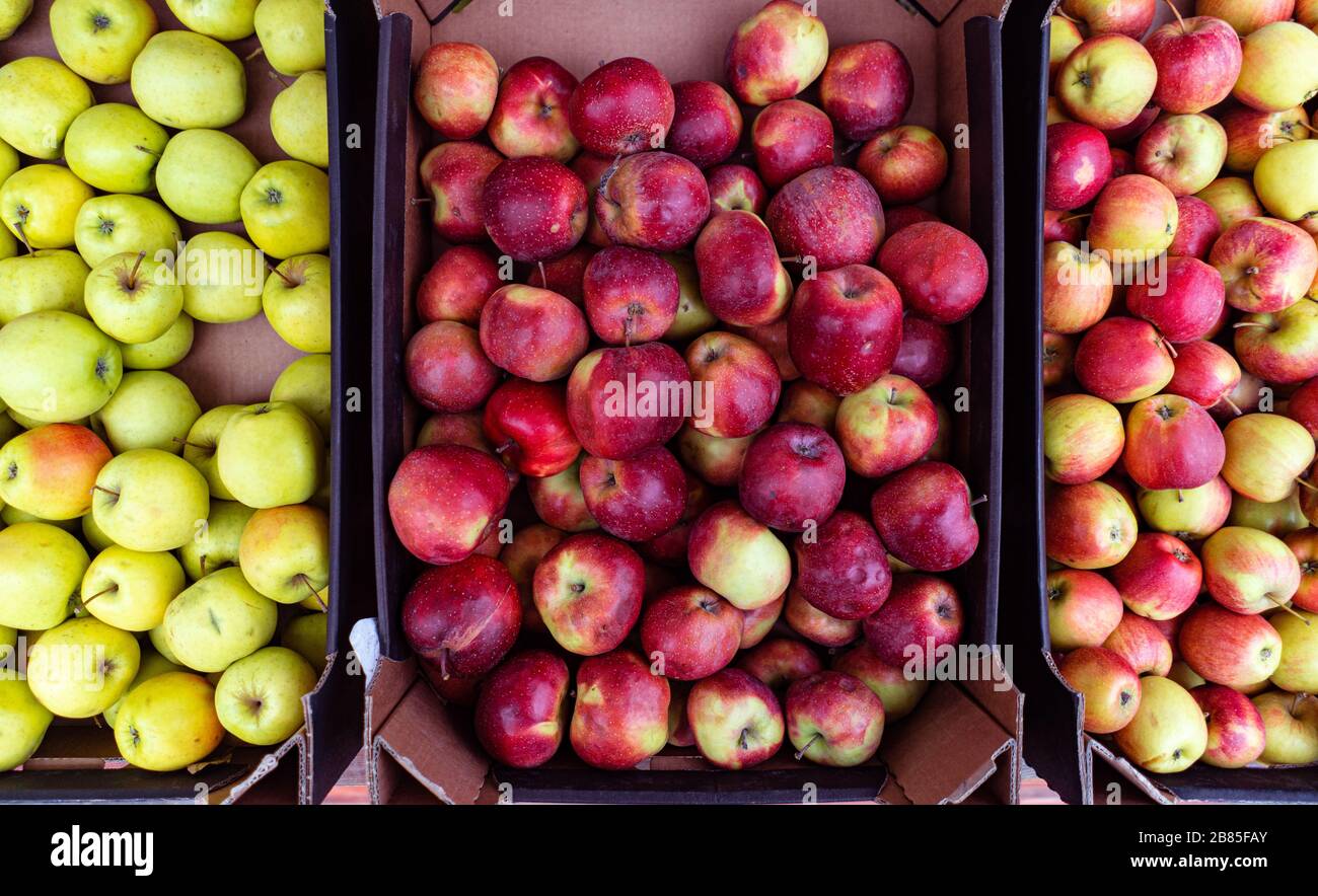 Kashmir apple hi-res stock photography and images - Alamy