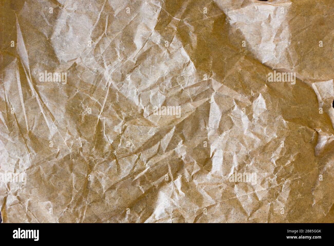 Parchment paper texture. Closeup view of list of parchment Stock Photo ...