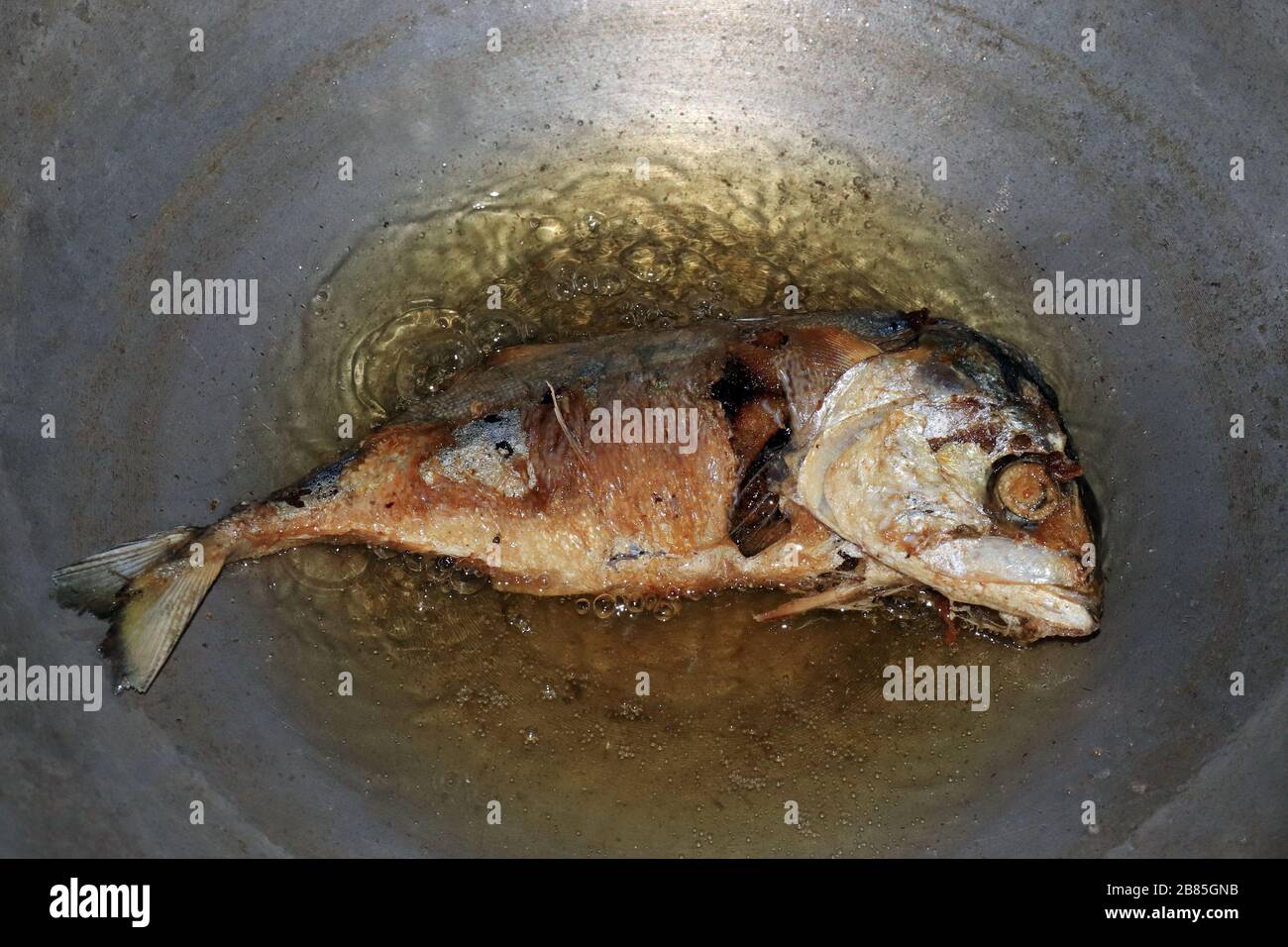 Fried Mackerel fish in a pan with hot boiling oil, Salted Mackerel fish ...