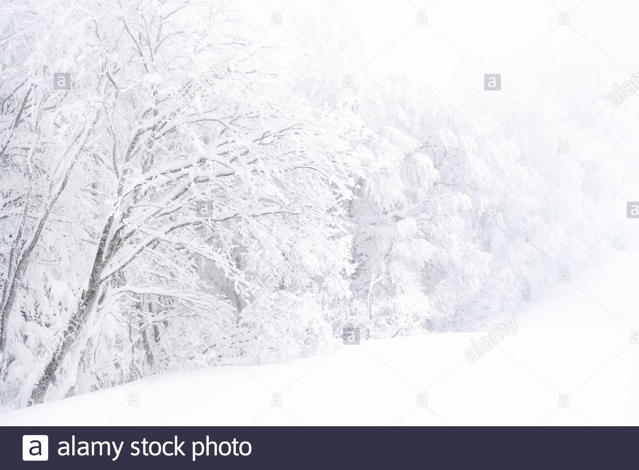 Zao Onsen High Resolution Stock Photography and Images - Alamy