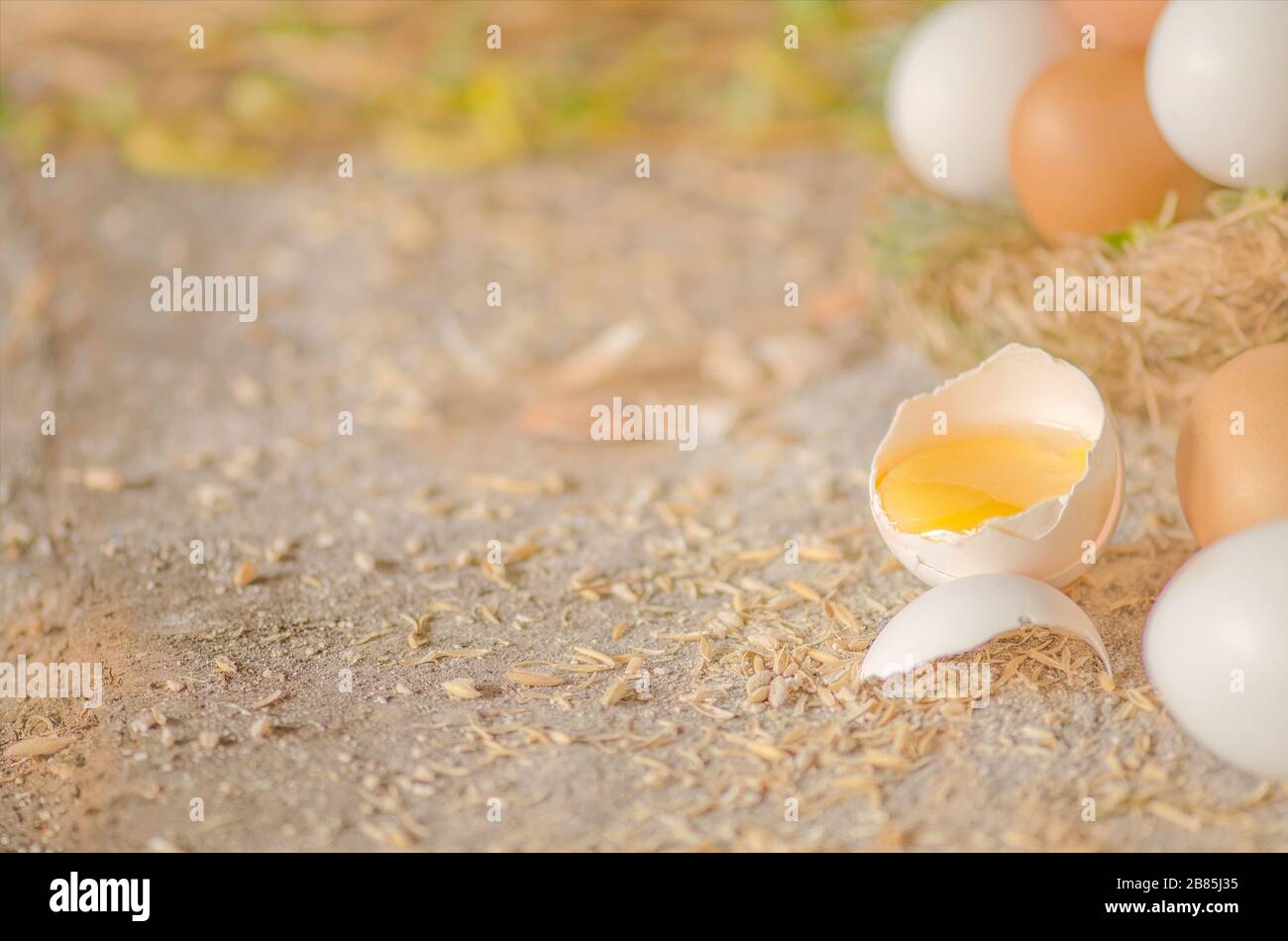 Raw chicken egg yolk broken Stock Photo - Alamy