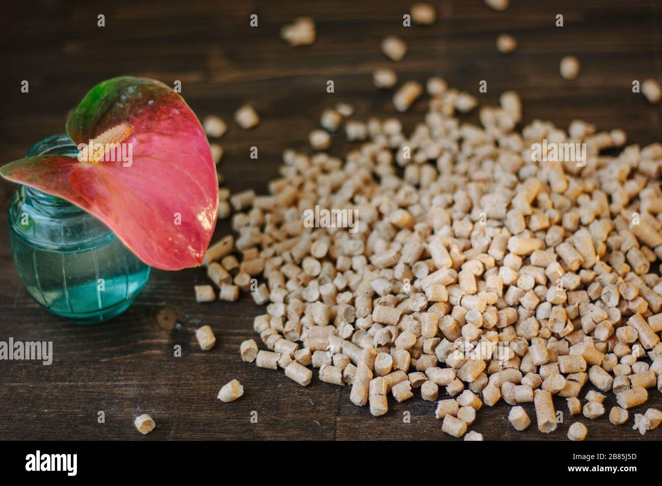 Fresh flower and wooden pellets over brown background Stock Photo - Alamy
