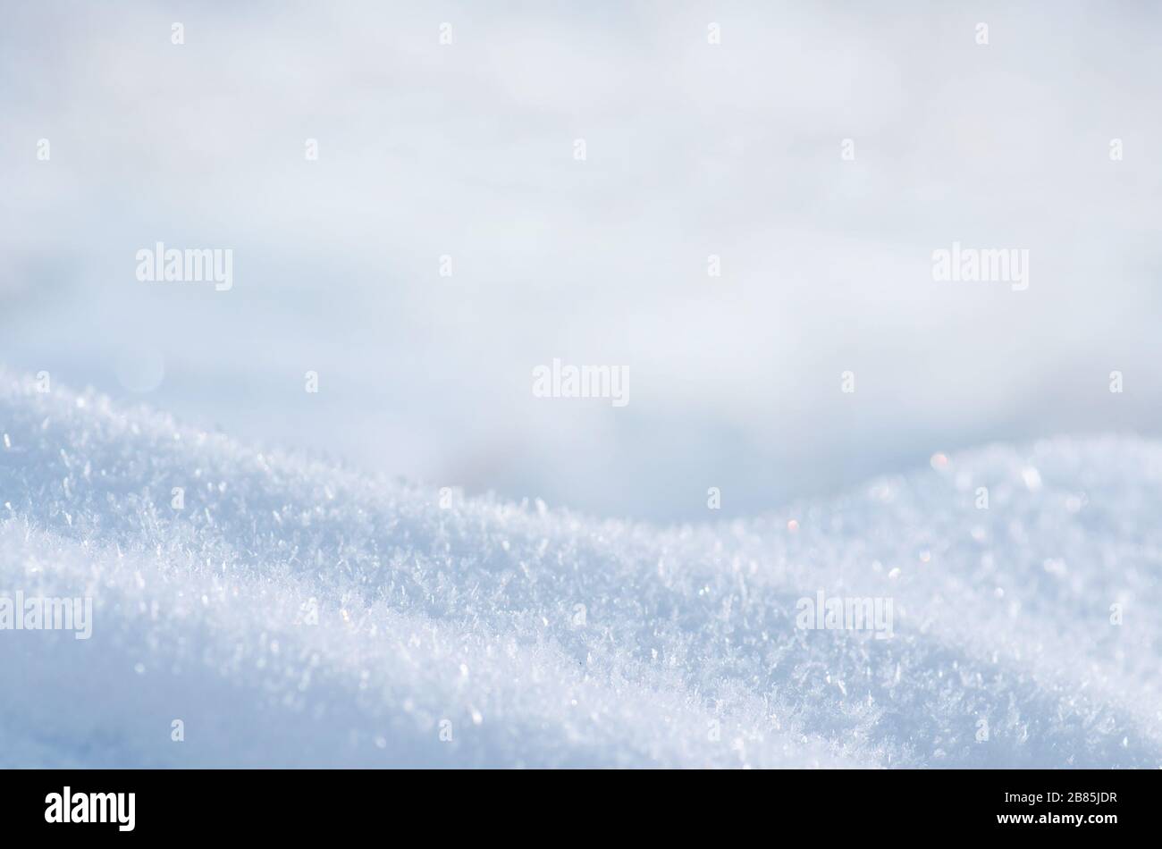 Background of fresh snow. Natural winter background. Snow texture in ...