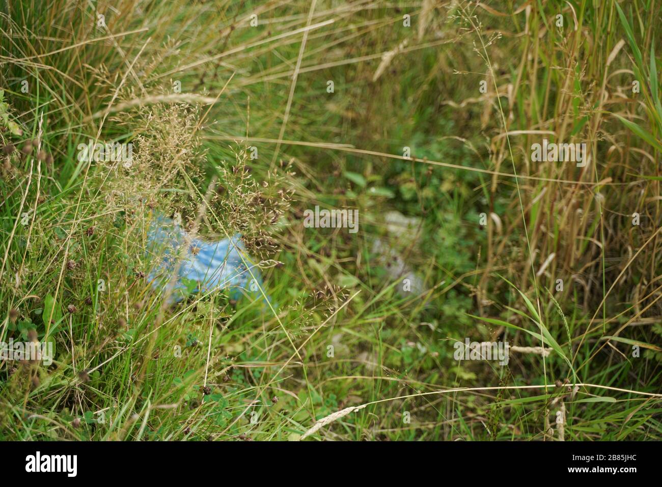 garbage is everywhere. environmental pollution. worldwide problem Stock ...