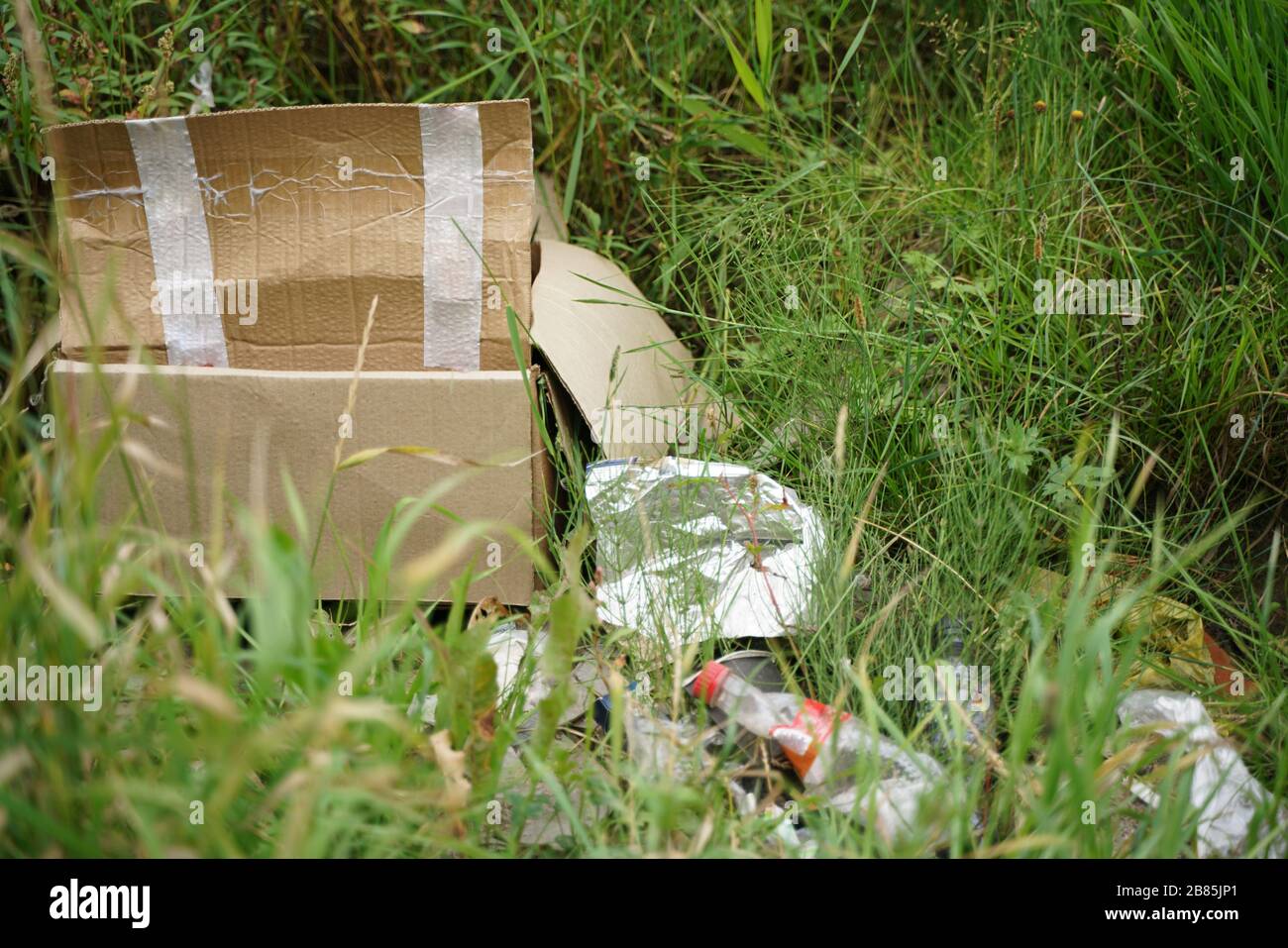 garbage is everywhere. environmental pollution. worldwide problem Stock ...