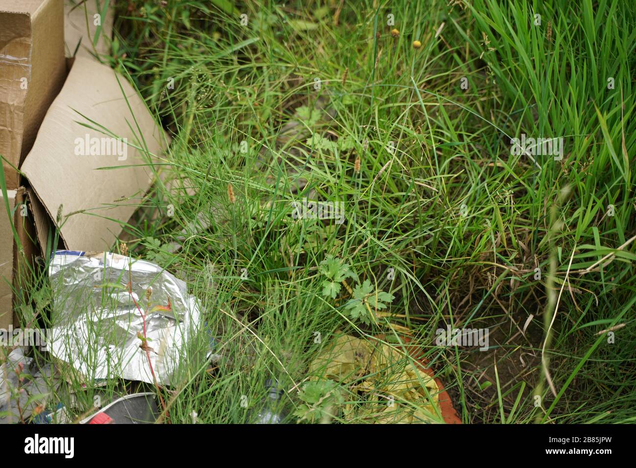 garbage is everywhere. environmental pollution. worldwide problem Stock ...