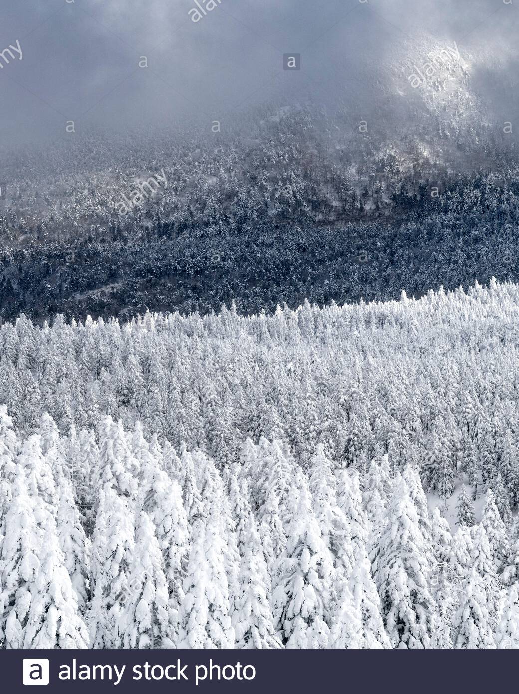 Zao Onsen High Resolution Stock Photography and Images - Alamy