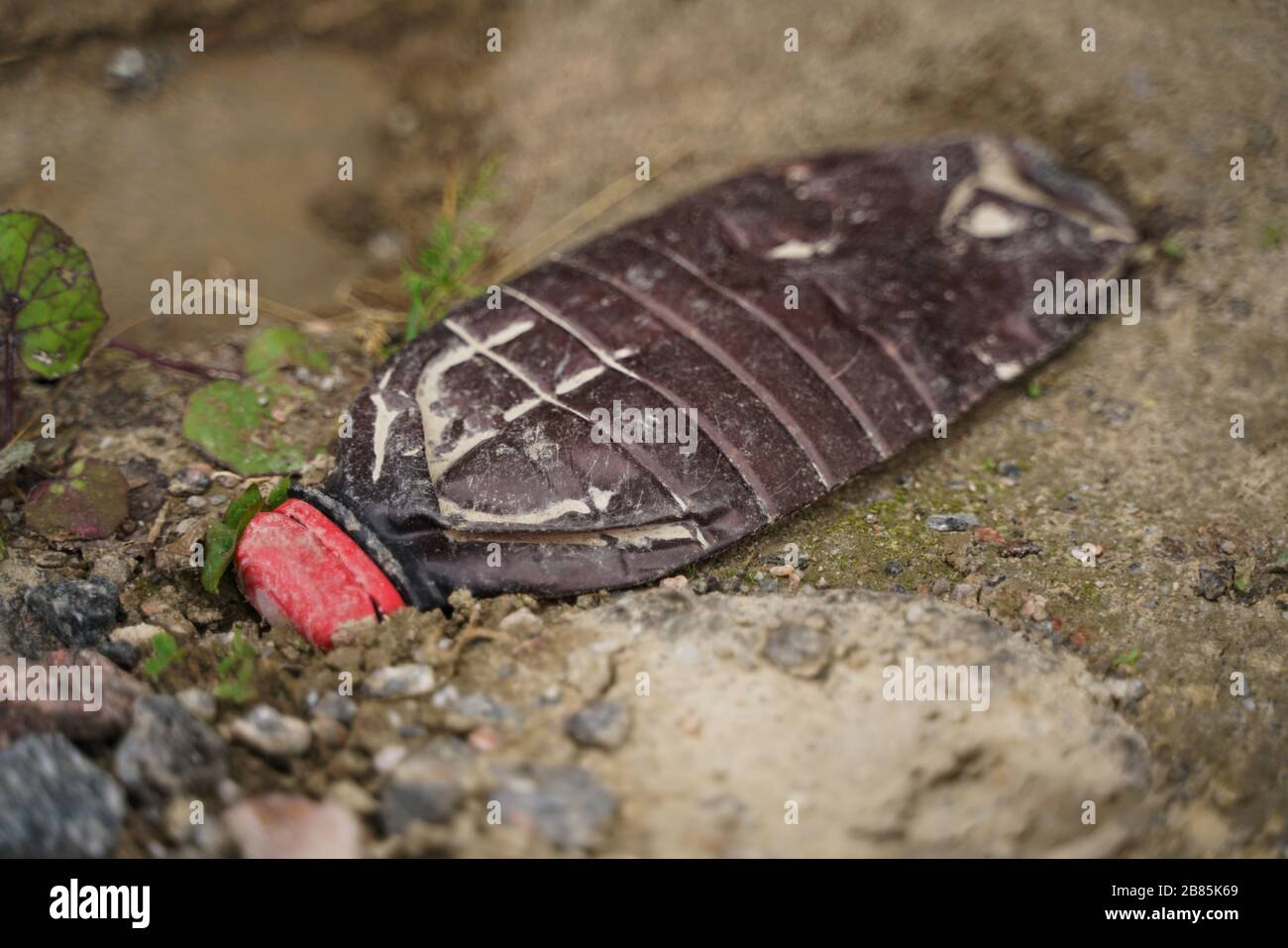 garbage is everywhere. environmental pollution. worldwide problem Stock ...