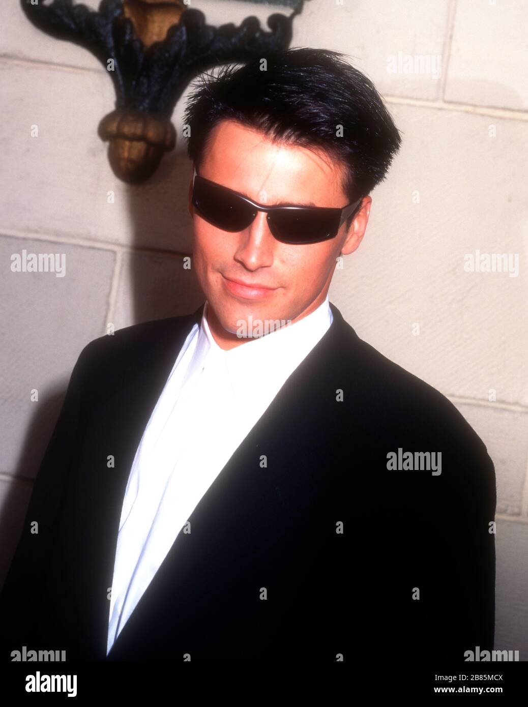Matt leblanc 1995 hi-res stock photography and images - Alamy