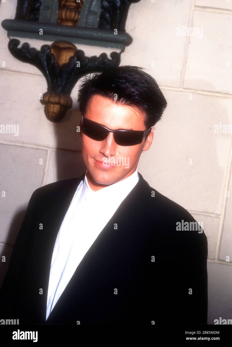 Westwood, California, USA 17th July 1995 Actor Matt LeBlanc attends ...