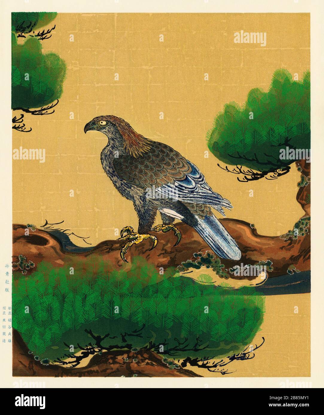 Kano tan'yu hi-res stock photography and images - Alamy