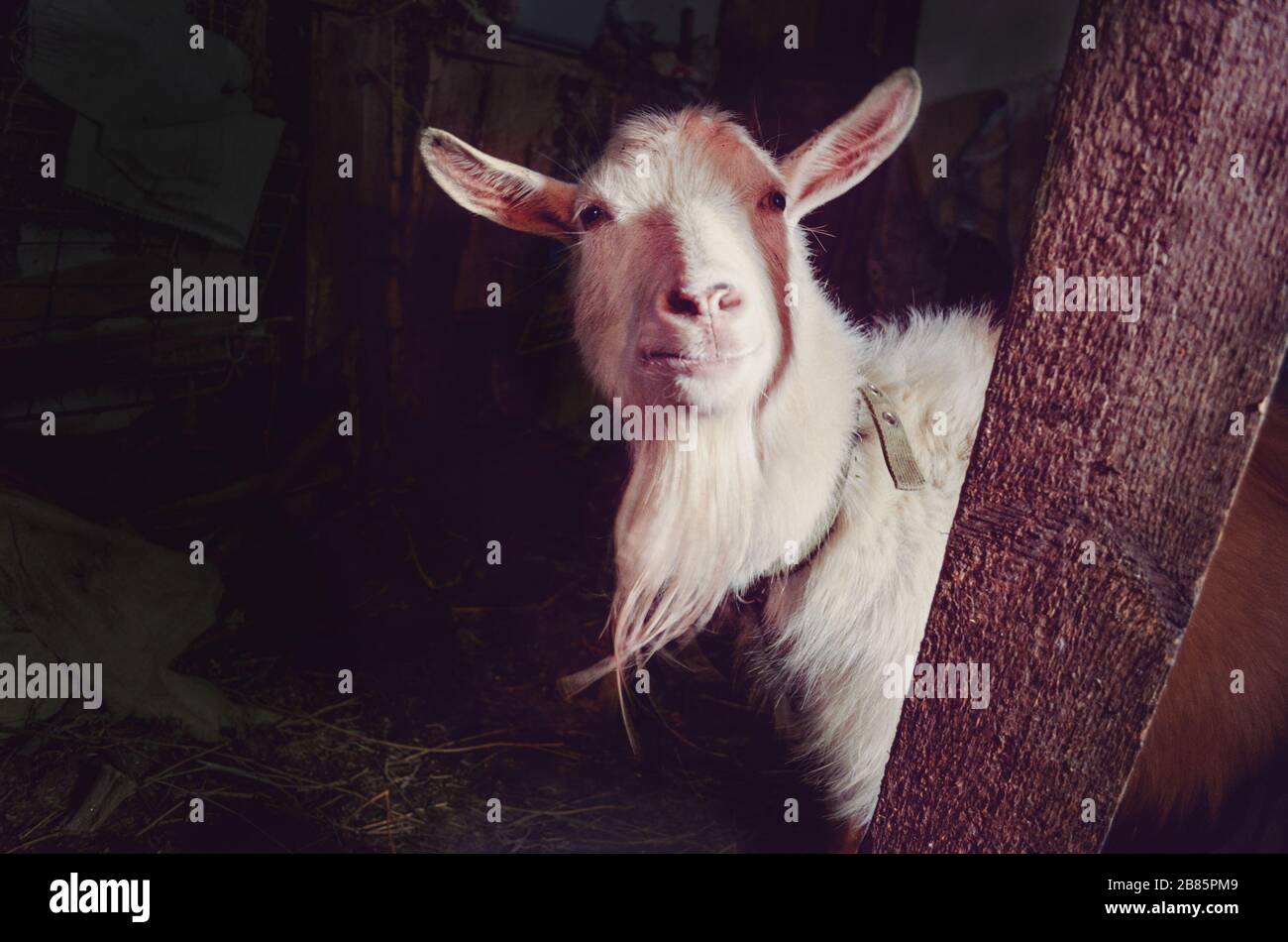 Little big horn area hi-res stock photography and images - Alamy