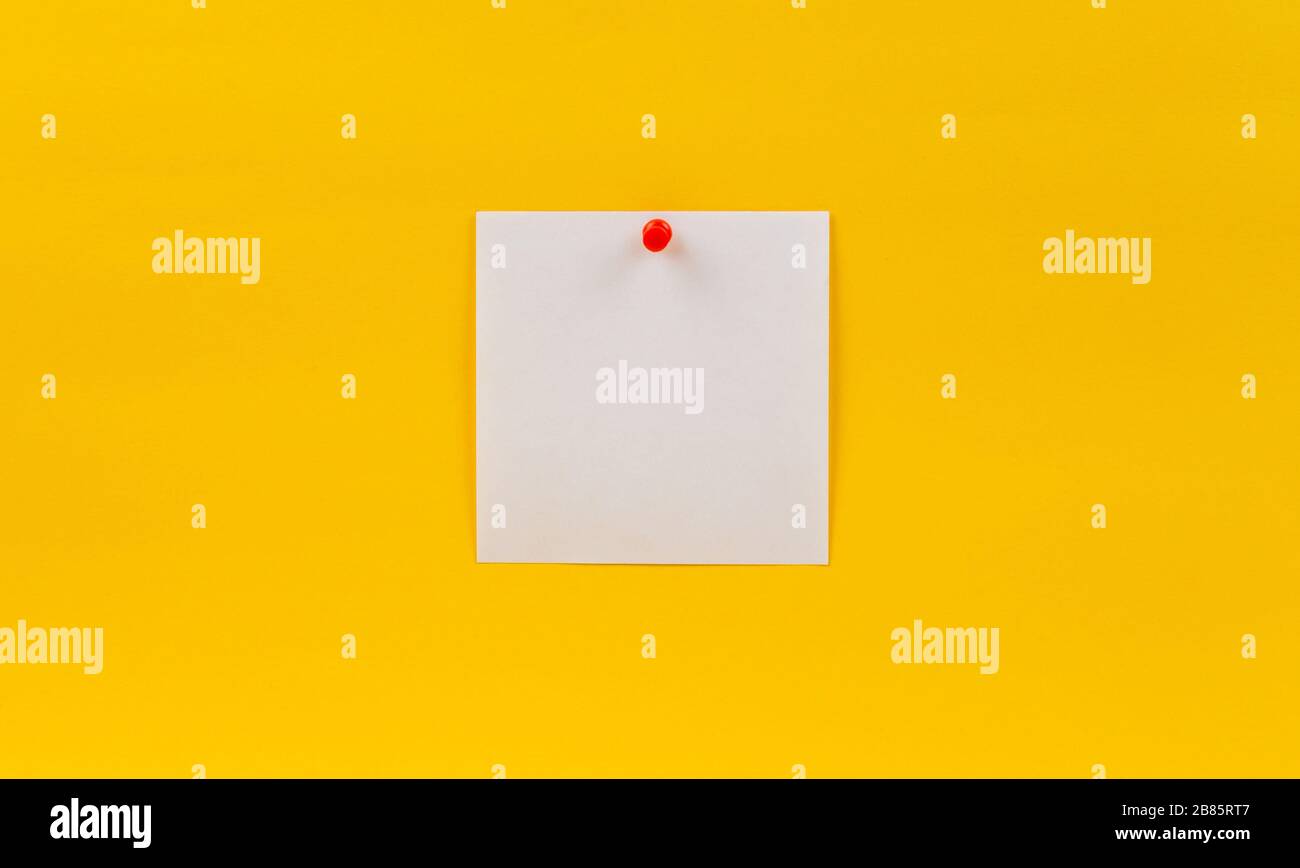 Empty blank white paper note pinned red pin on a yellow background ...