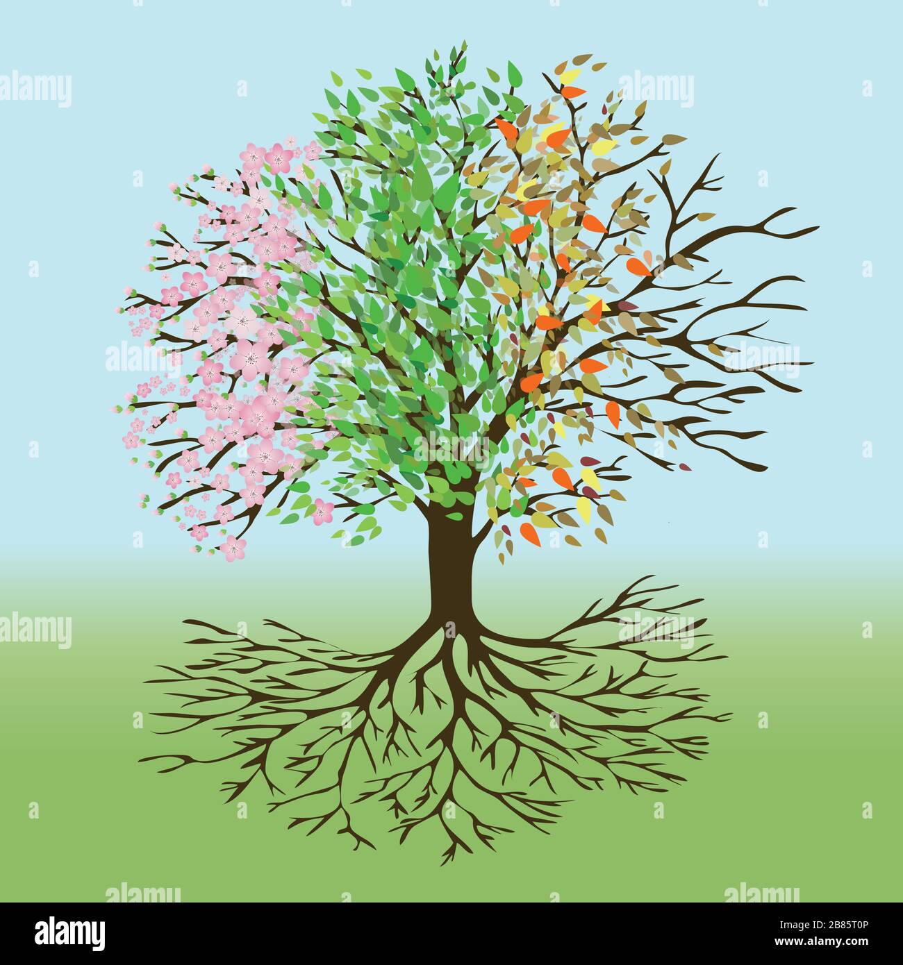 Scottish Tree Of Life