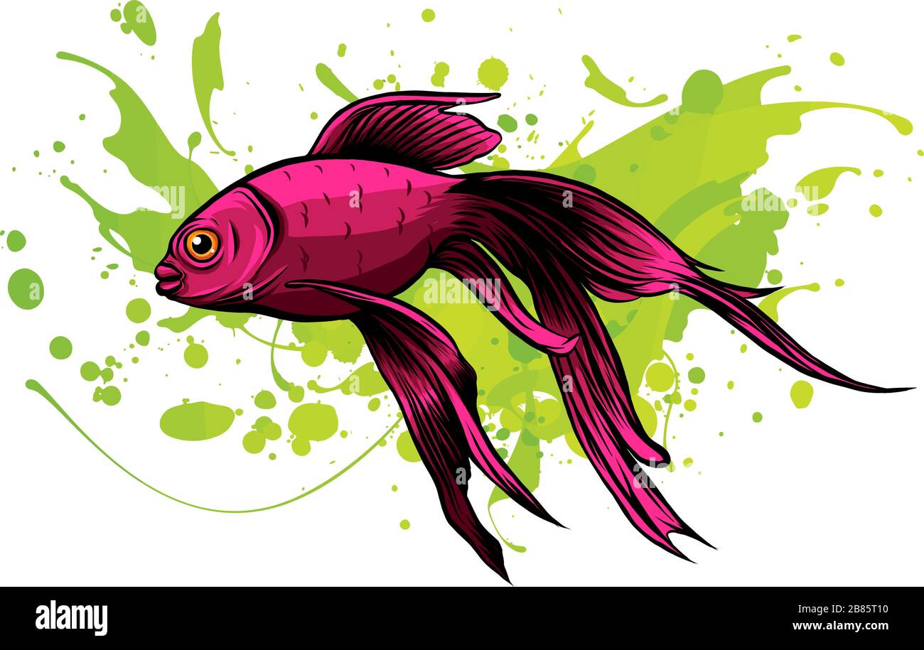 Red Drum, Redfish. Vector illustration with refined details Stock ...