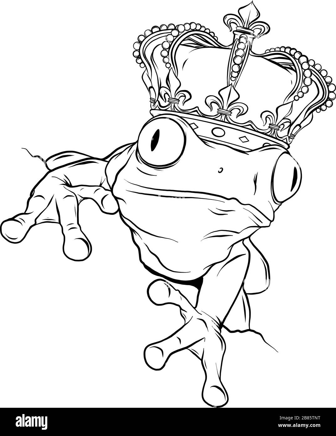 Frog sitting on green Cut Out Stock Images & Pictures - Alamy