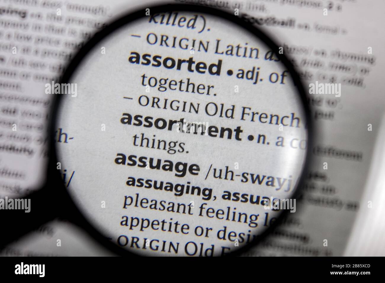 The word or phrase assortment in a dictionary book Stock Photo - Alamy