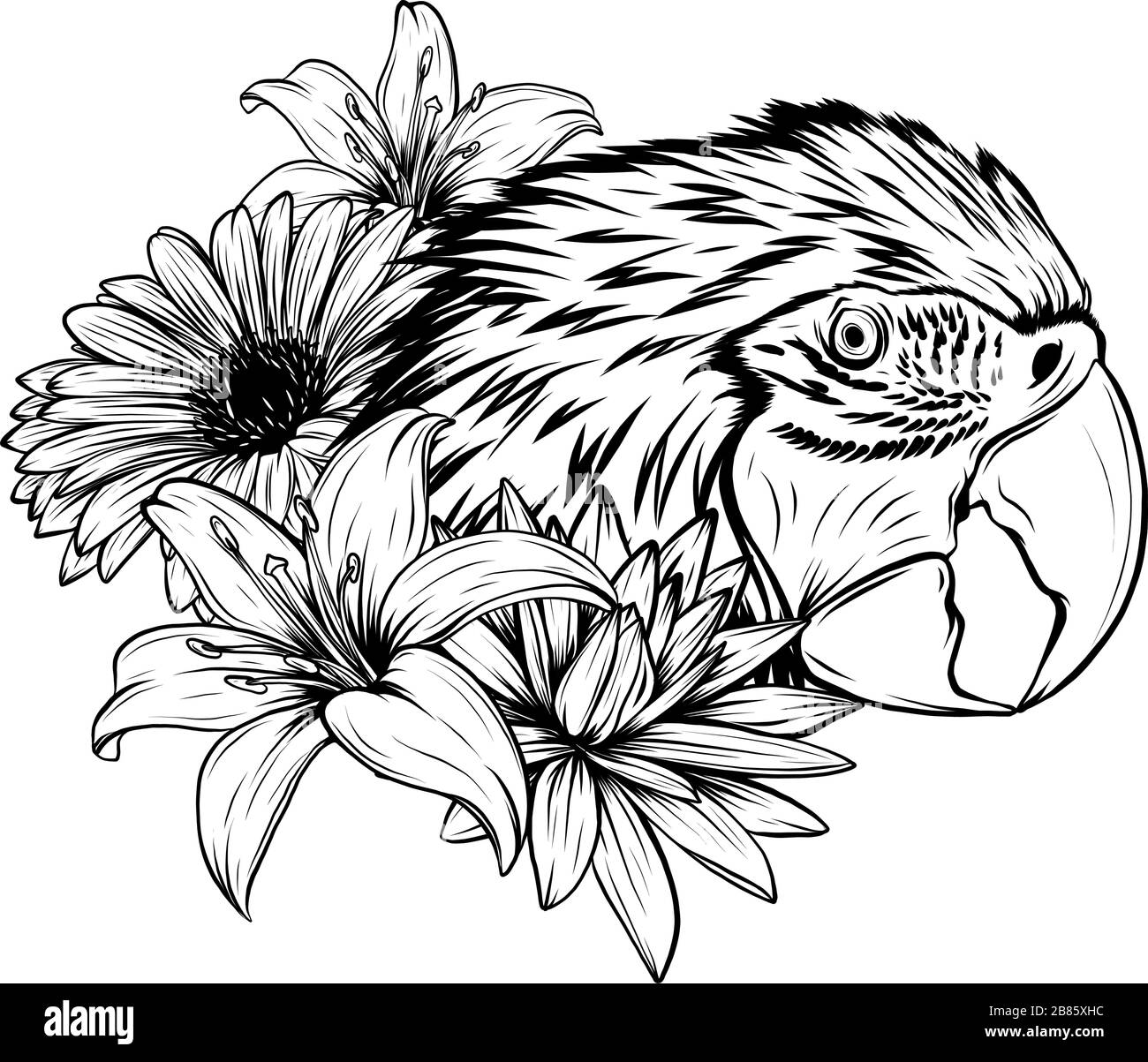 Brazil, painting jungle Cut Out Stock Images & Pictures - Alamy