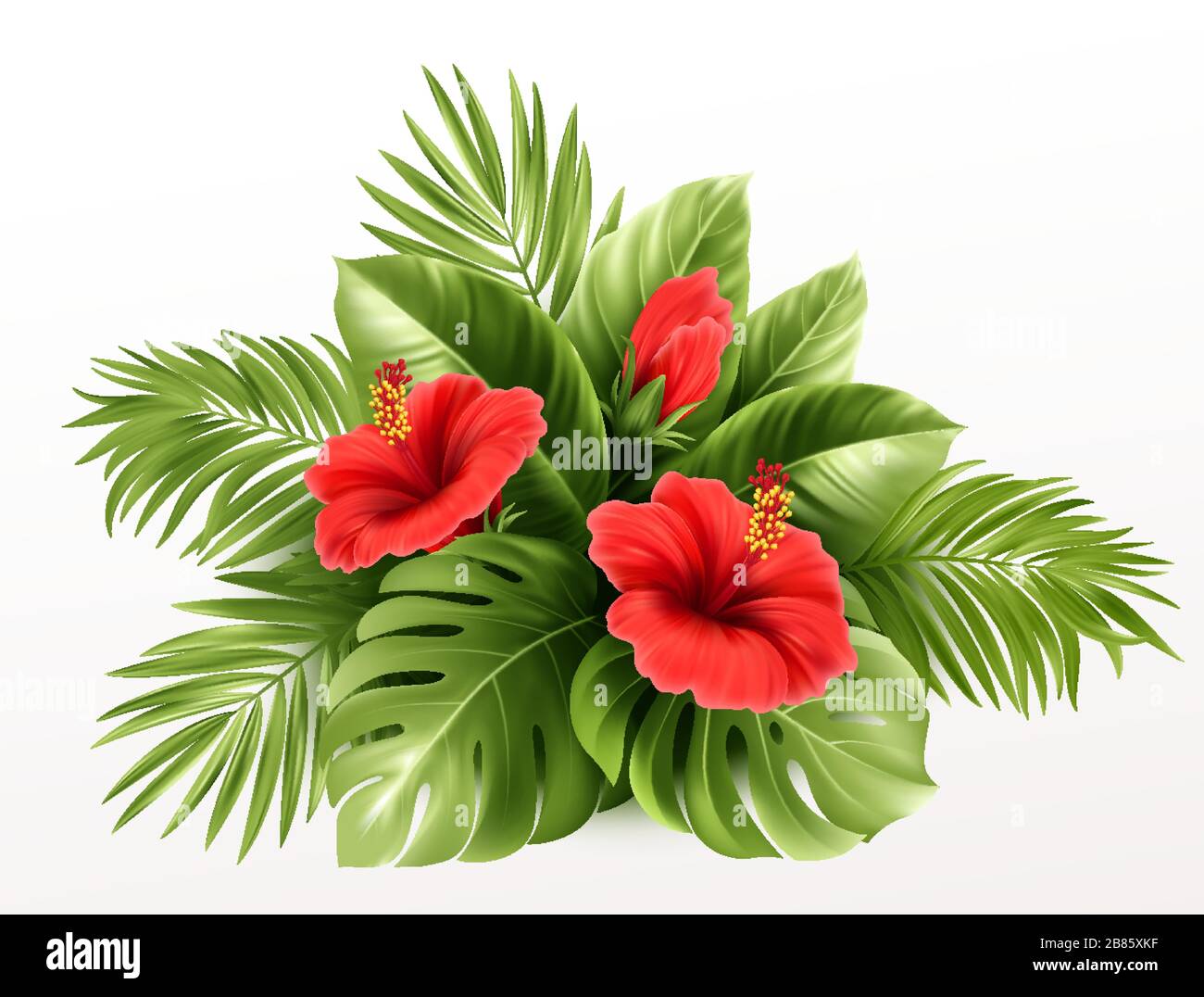 Exotic Tropical hibiscus flowers and monstera leaves, palm leaves of ...