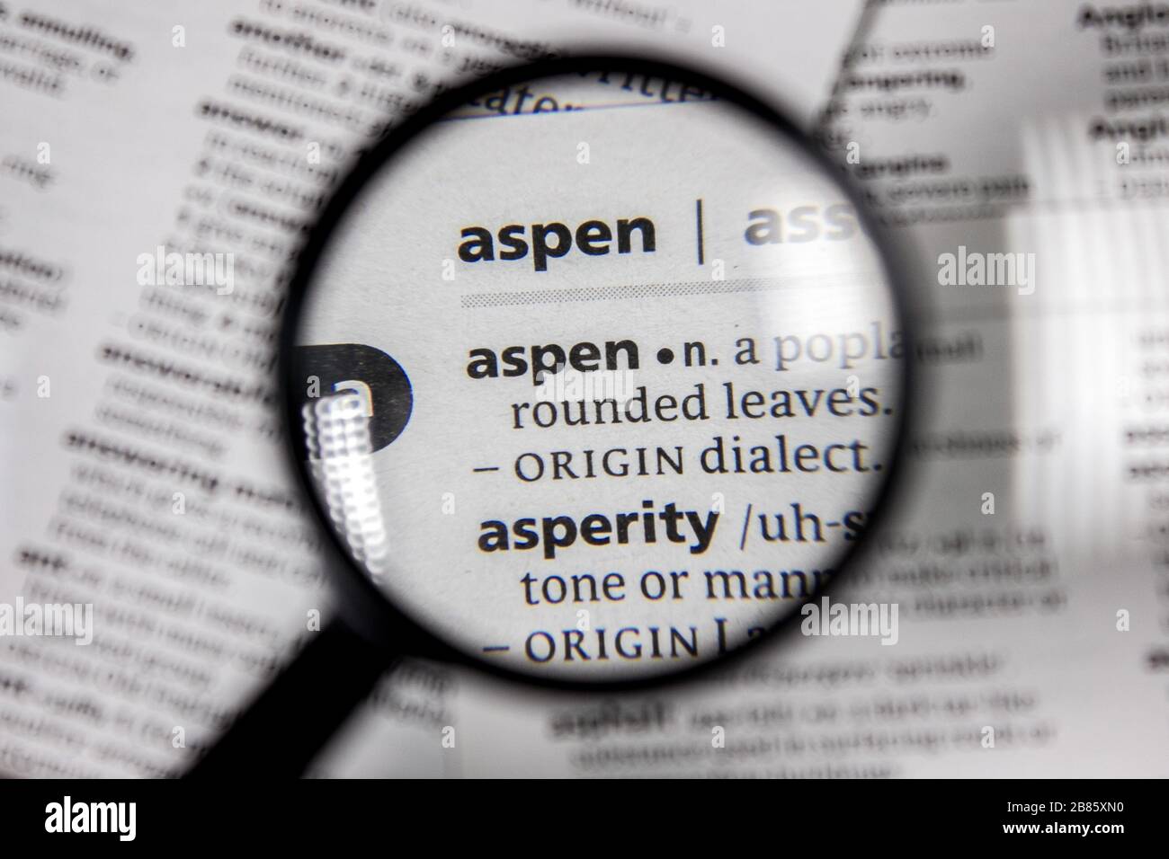 The word or phrase aspen in a dictionary book Stock Photo - Alamy