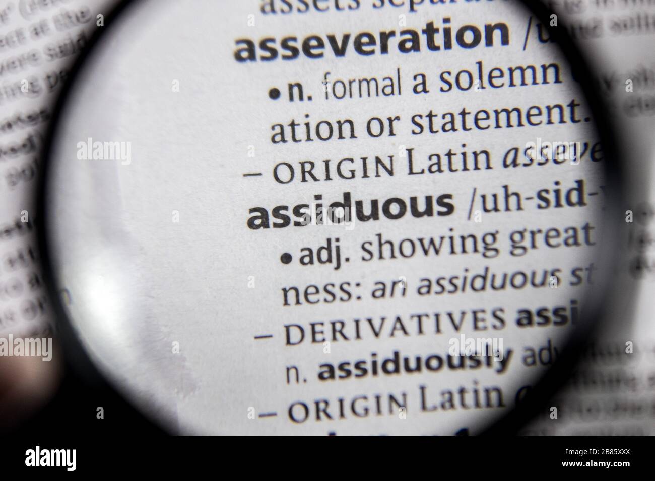 Assiduous Definition