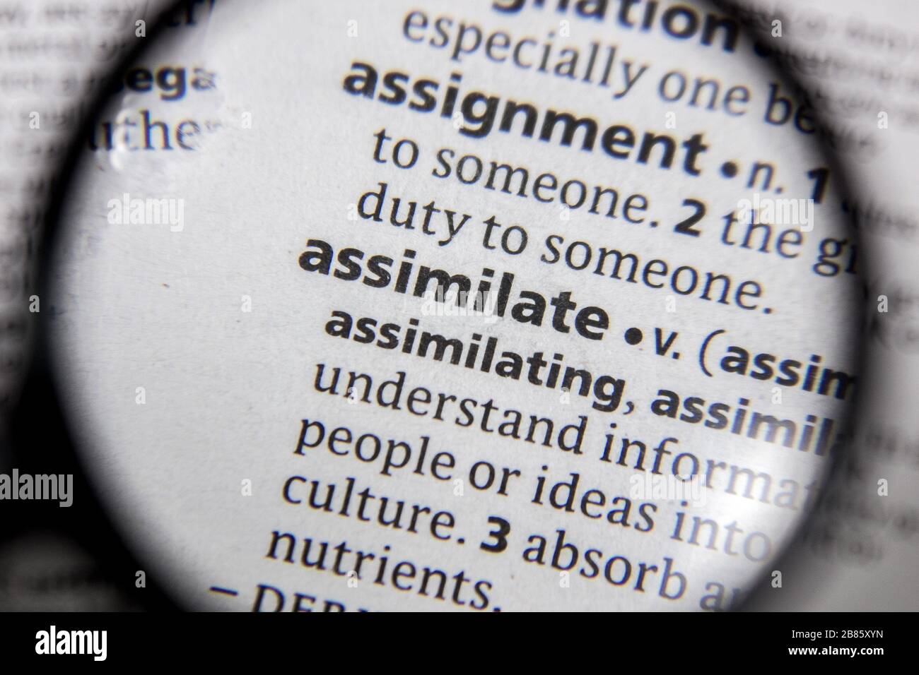 Assimilate hi-res stock photography and images - Alamy