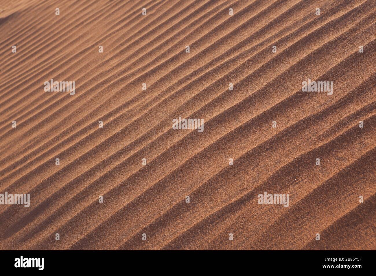 Sand dune texture Stock Photo - Alamy