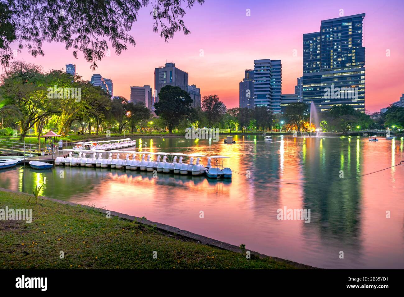 Lumpini Park in Bangkok at night, Thailand. Landscape view of lakeside ...