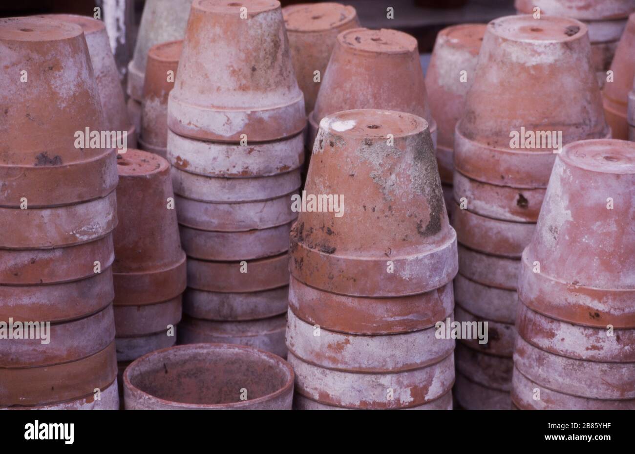 Culture pots hi-res stock photography and images - Alamy