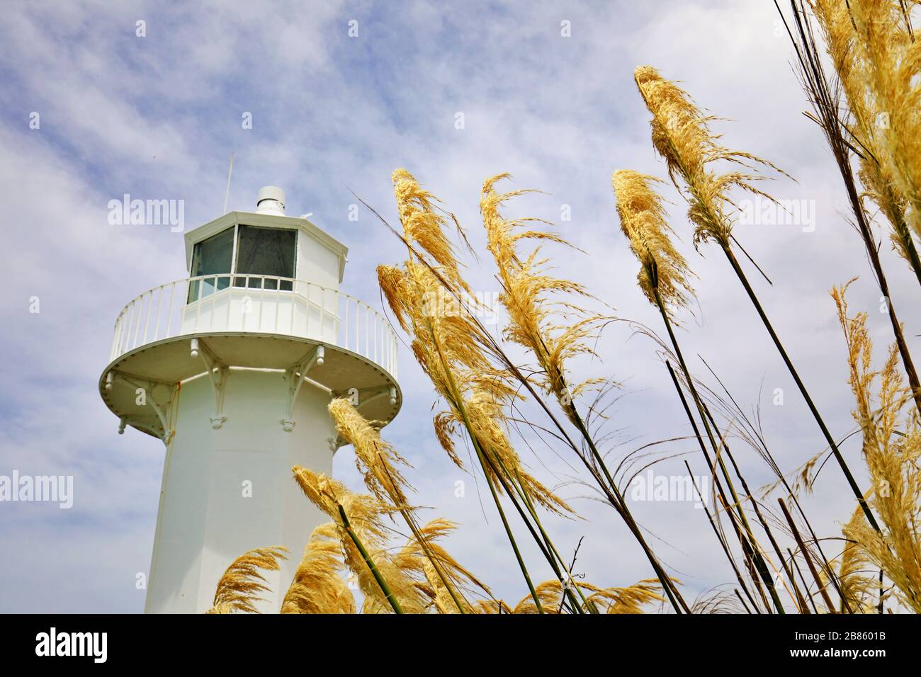 Timaru lighthouse hi-res stock photography and images - Alamy