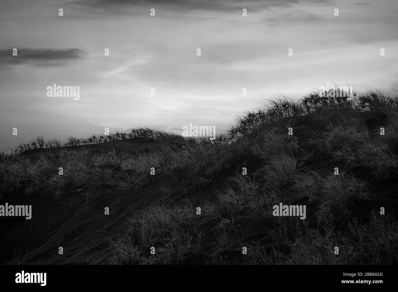 Beautiful tropical beach landscape Black and White Stock Photos ...