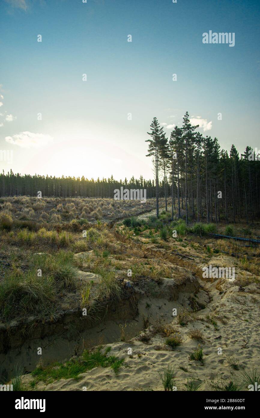 Sun nature landscapes of the beach sky coast hi-res stock photography ...