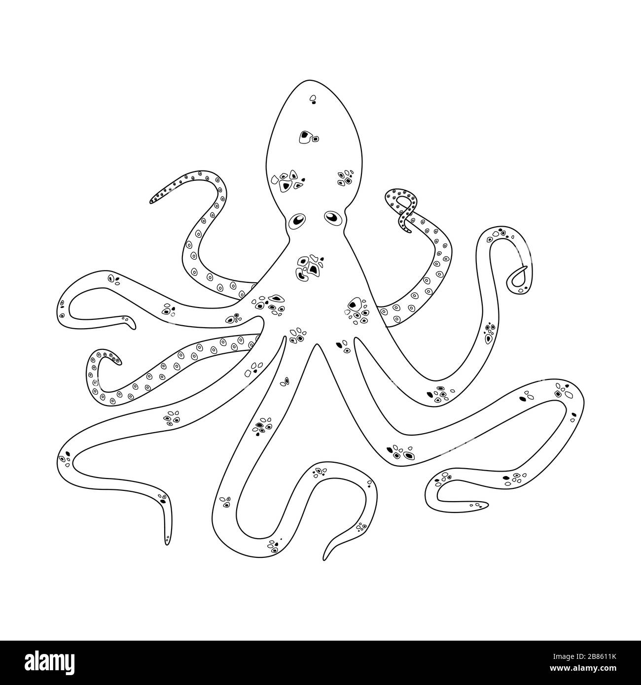 Realistic Octopus Outline