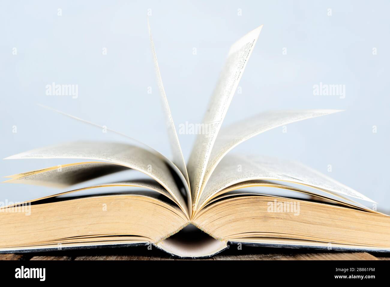 Back to school concept, for educational success. Books that are open ...