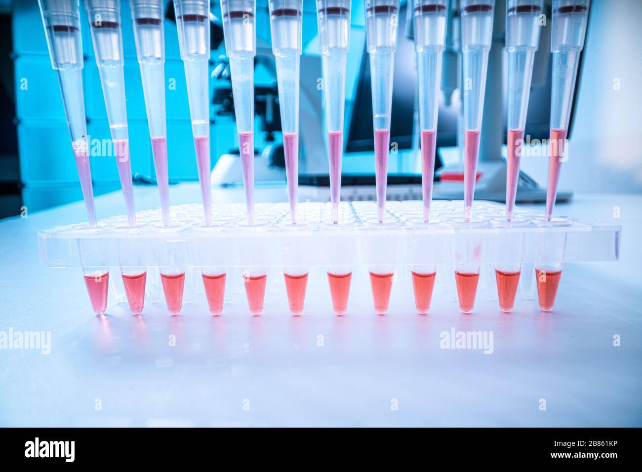 sample of biological sample for DNA analysis Stock Photo - Alamy
