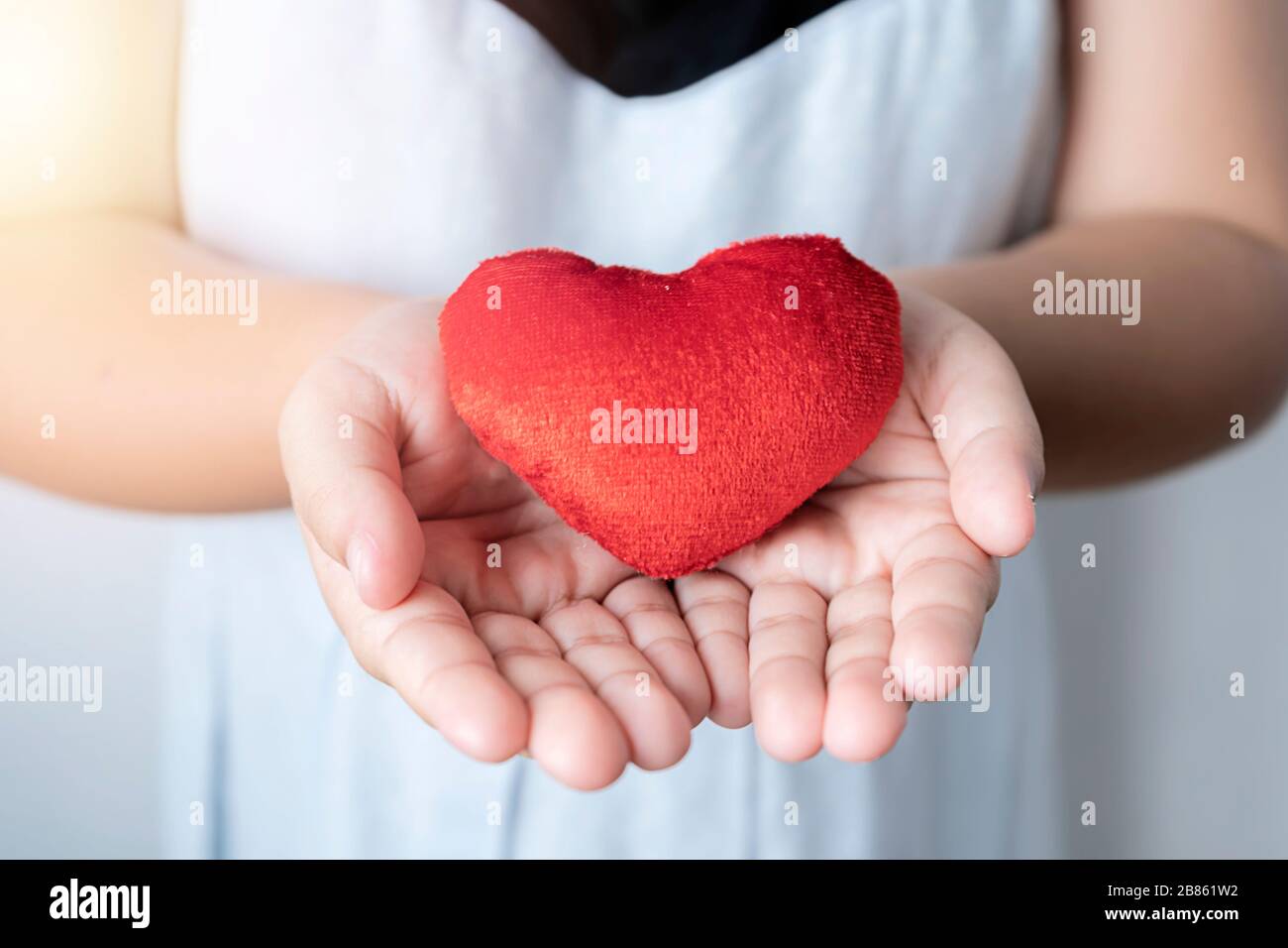 Valentines Day, The red heart is placed on the girl's hand. Can be ...