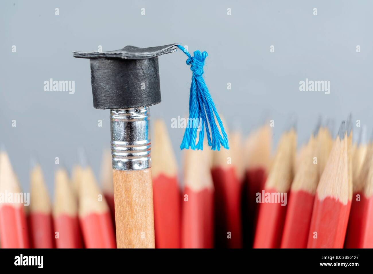 Concept of educational success. A small graduation cap is worn in a ...