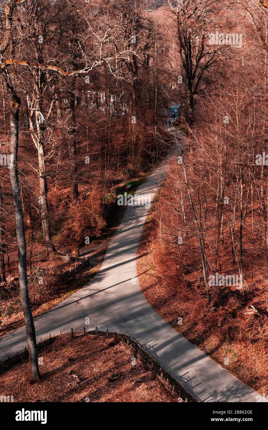 Leaving the path hi-res stock photography and images - Alamy