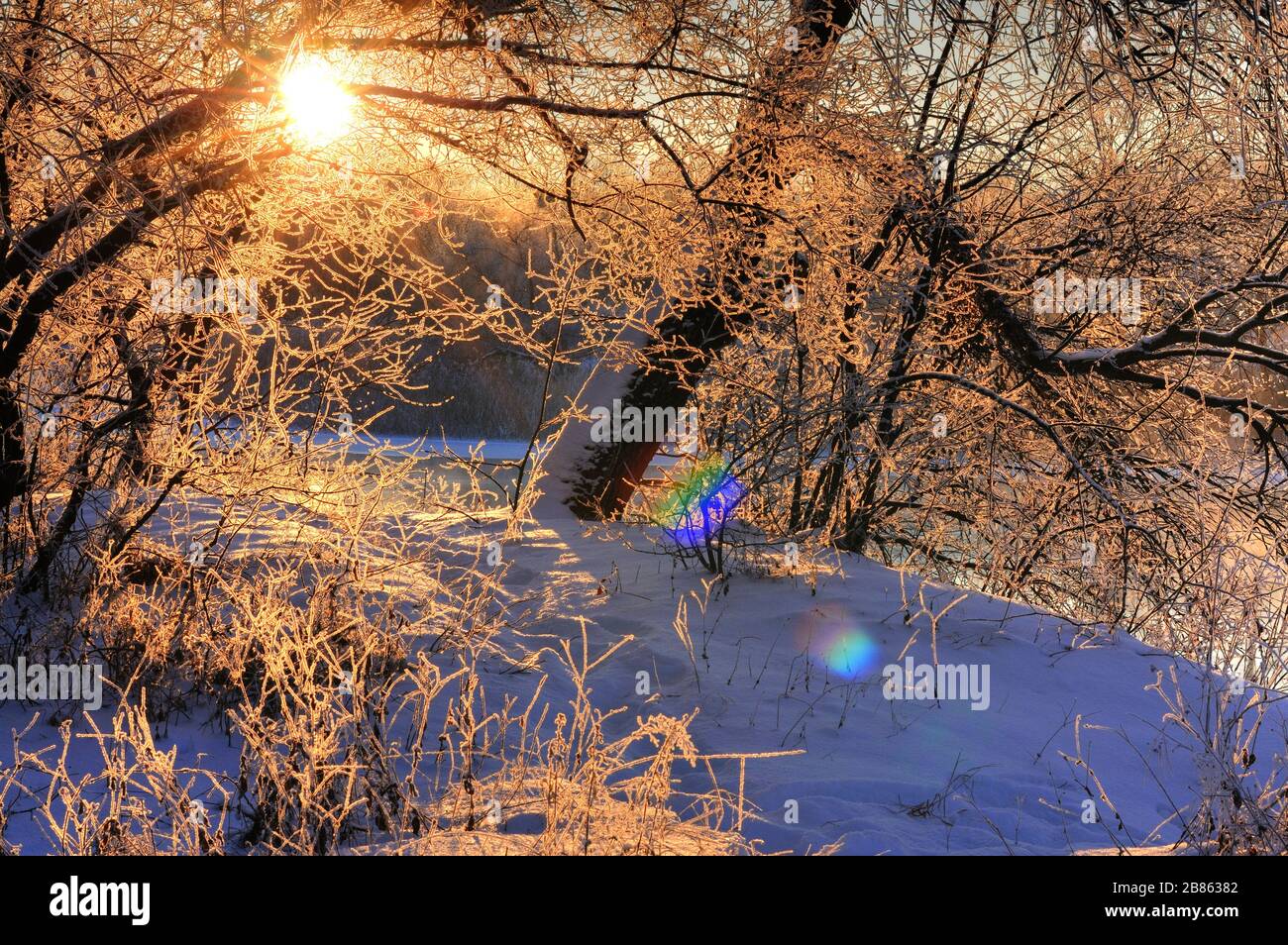 Magical snow landscape a golden sun breaks through the hardened ...
