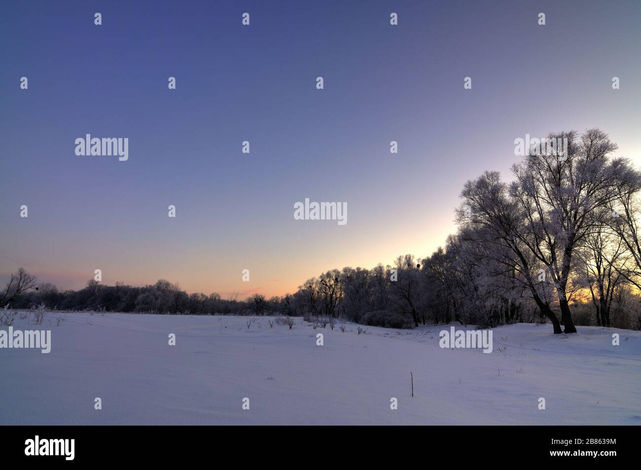 Mystical mesmerizing winter landscape a thick layer of snow lies in the ...