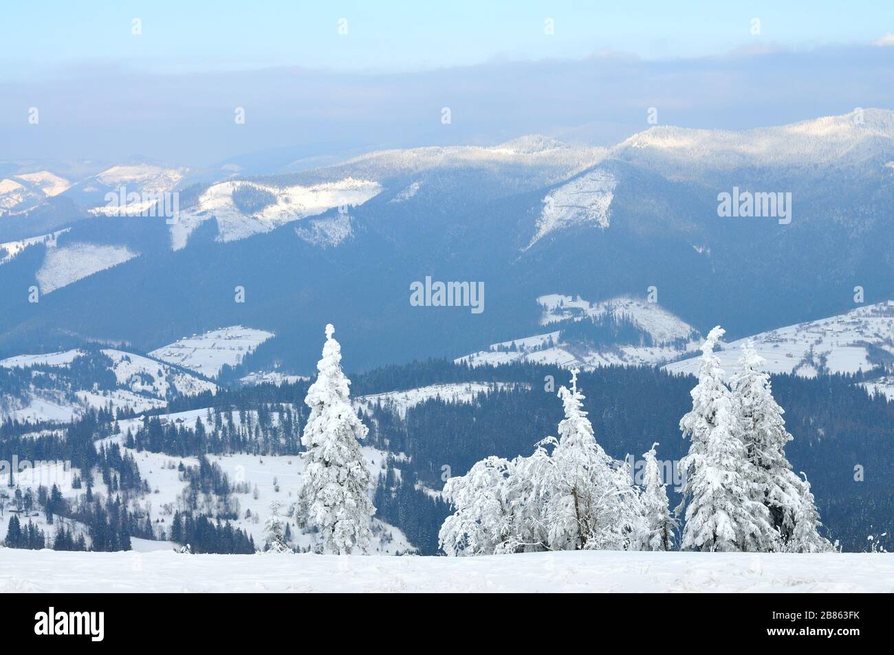 Beautiful mountain landscape with tall snowy trees. View from the top ...