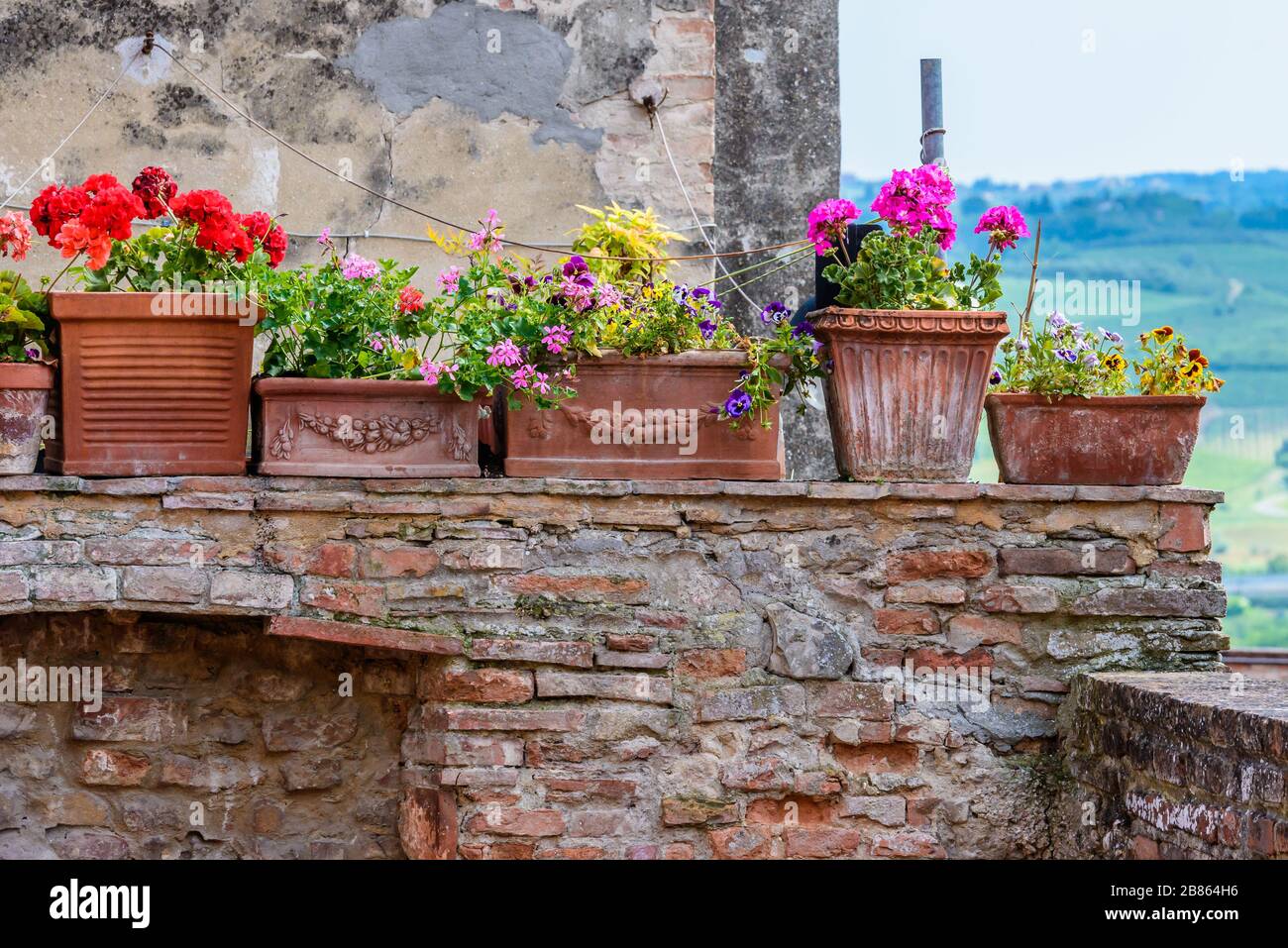 Geraniums in italy hi-res stock photography and images - Alamy
