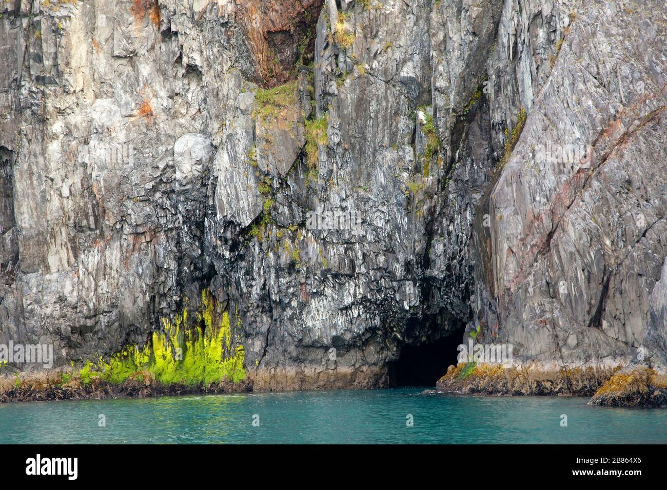Cave lichen hi-res stock photography and images - Alamy