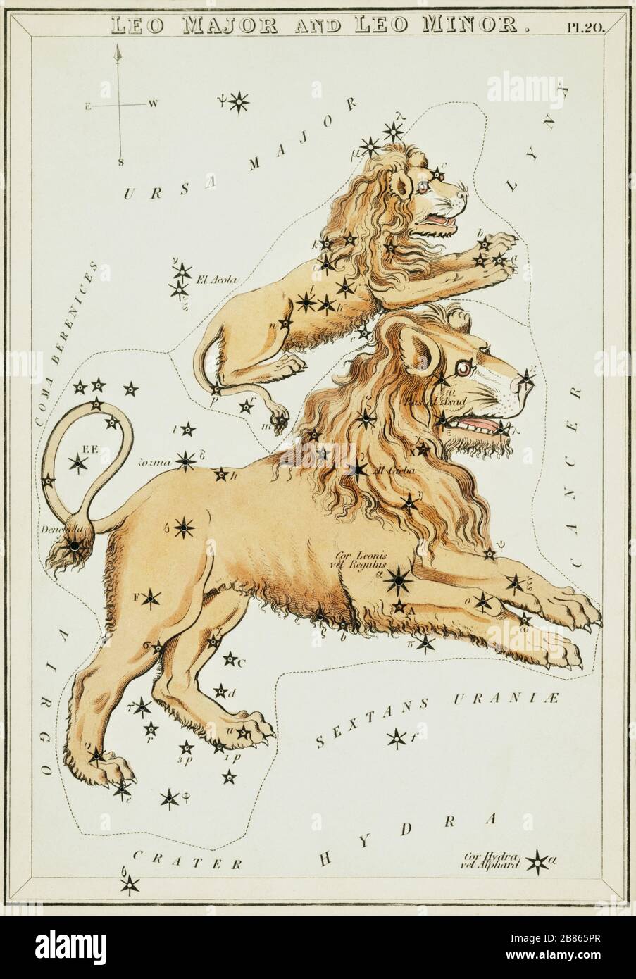 Leo Major High Resolution Stock Photography and Images - Alamy