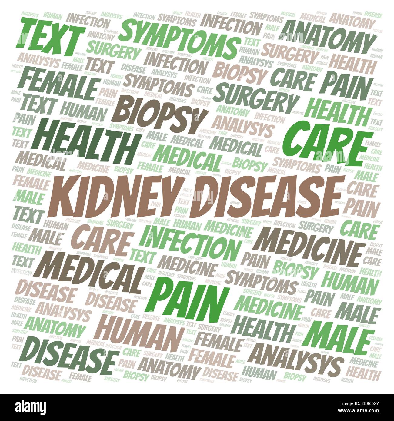 Kidney font hi-res stock photography and images - Alamy