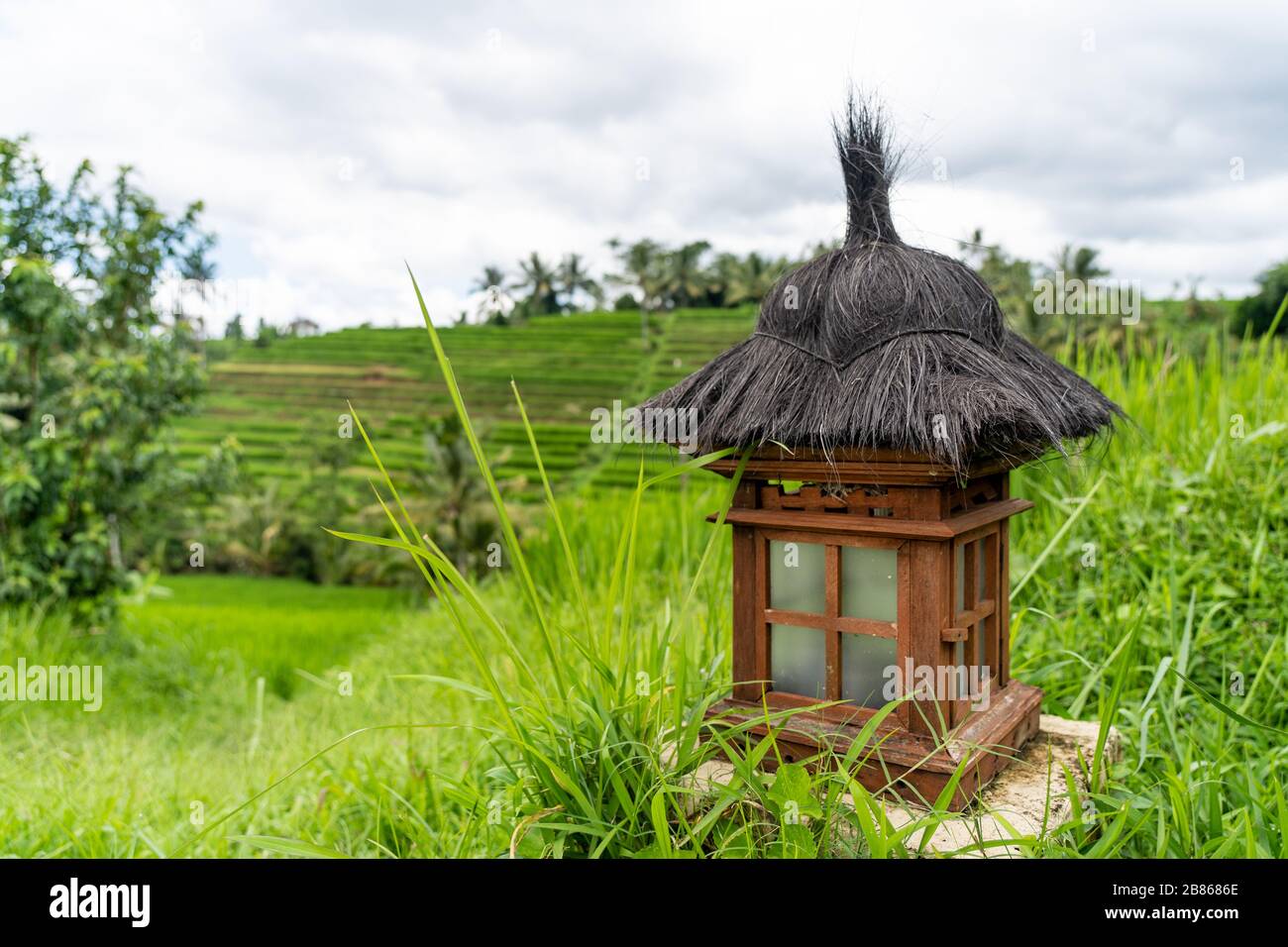 Standing terraces hi-res stock photography and images - Alamy