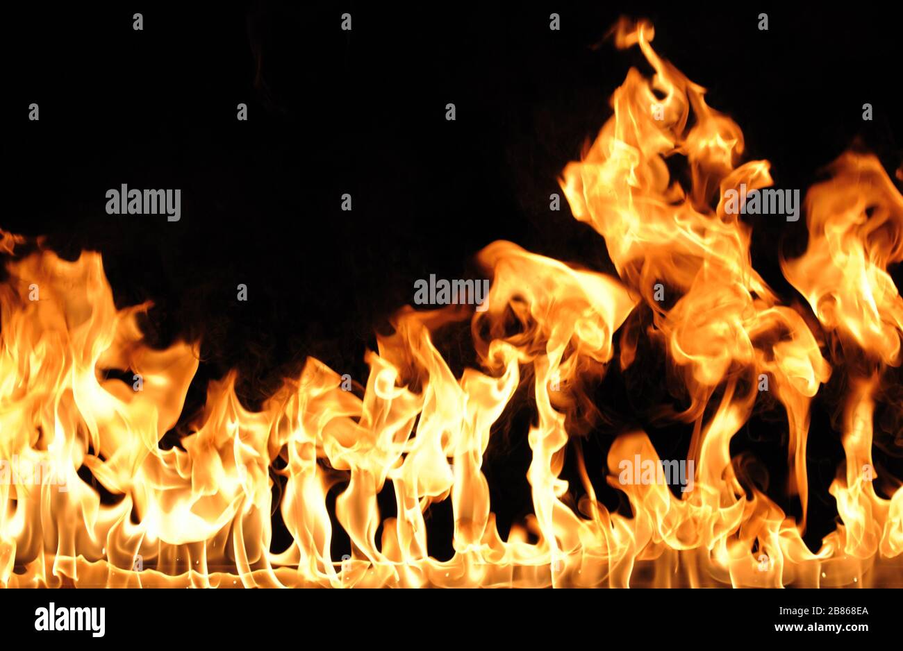 Tongues of flame rise up on black background. Fire at bottom of picture ...